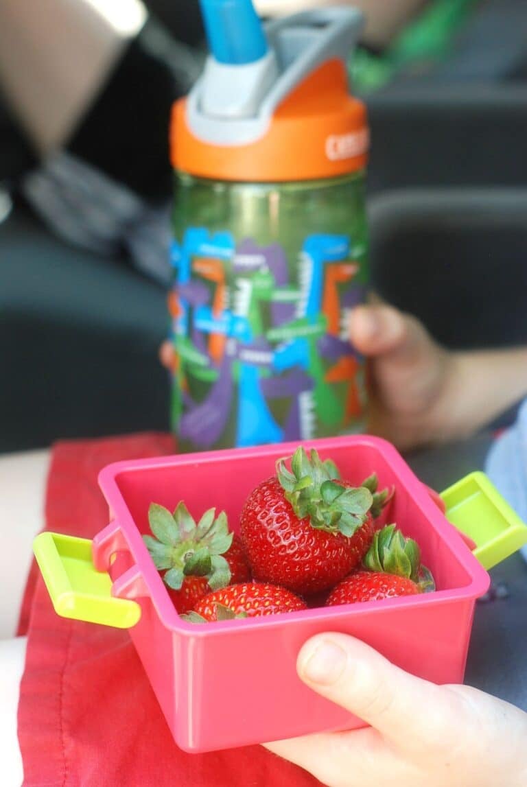 Healthy & Easy Dinner in the Car Ideas for Busy Nights