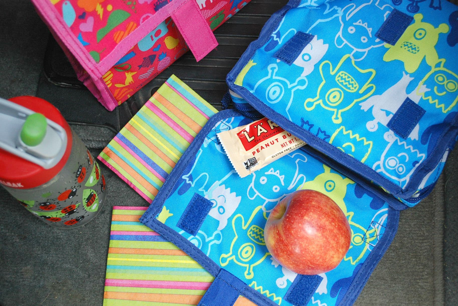 Healthy & Easy Dinner in the Car Ideas for Busy Nights