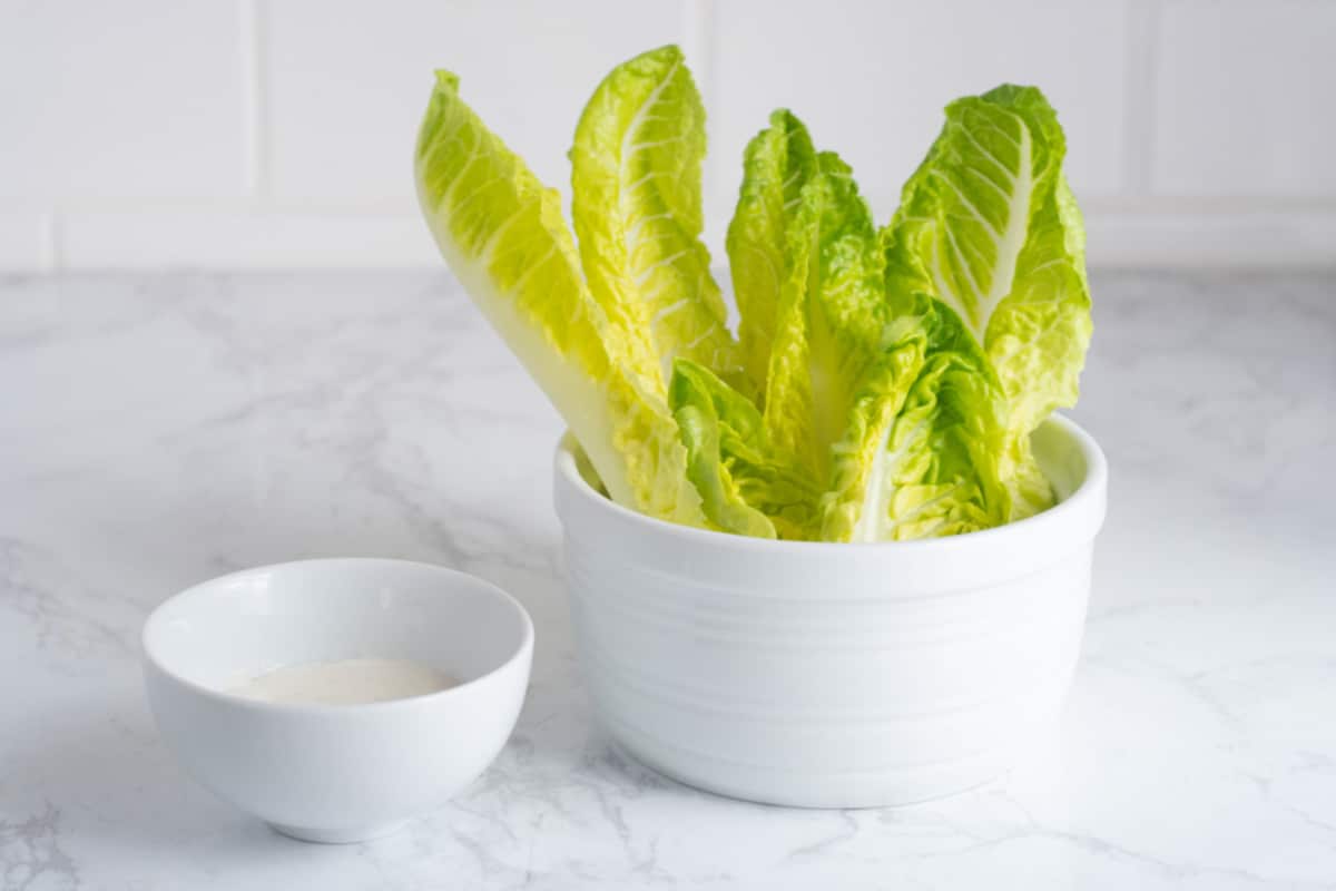 A Children Salad They're going to Love - Insurance