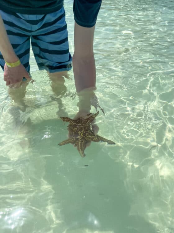 Spring Break in Grand Cayman on the Island's East End