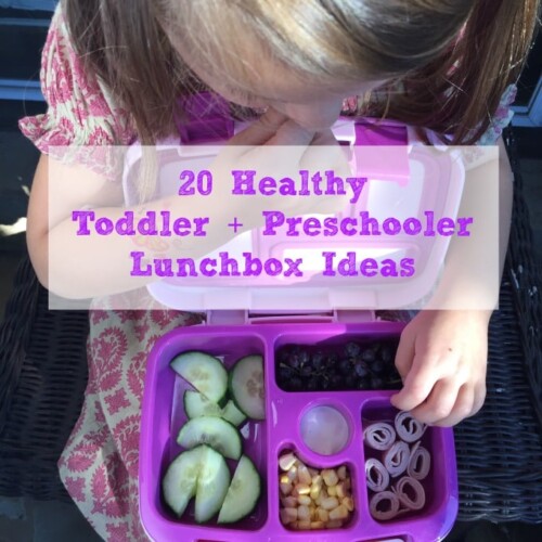 Preschool + Toddler Lunchbox Ideas | Real Mom Nutrition