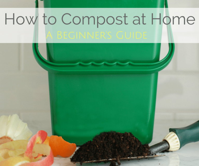 Want to Compost At Home? Here's How to Get Started