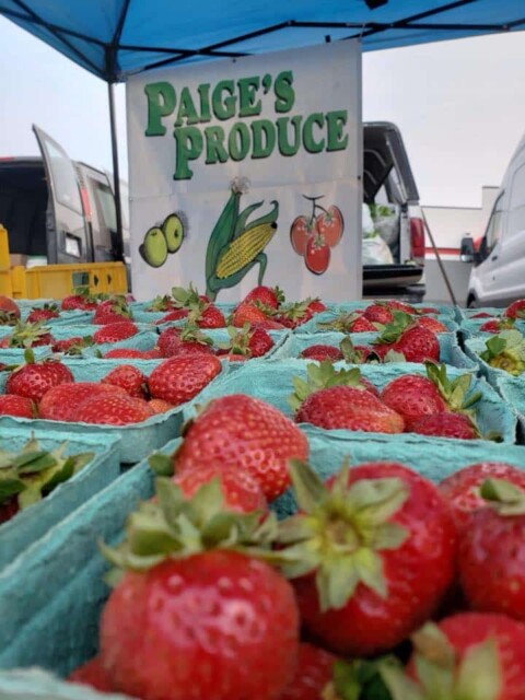 7 Ways To Support Local Farmers Right Now