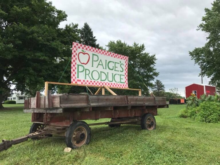 7 Ways To Support Local Farmers Right Now