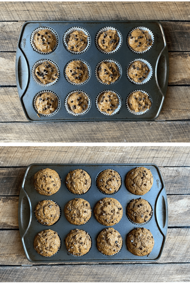 Pumpkin Chocolate Chip Muffins (Bakery-Style Size!) - National Planning ...